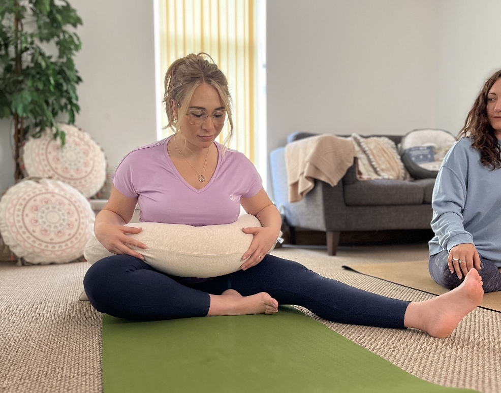 dreamgenii Pregnancy Feeding and Support Pillow gives You More Than ...