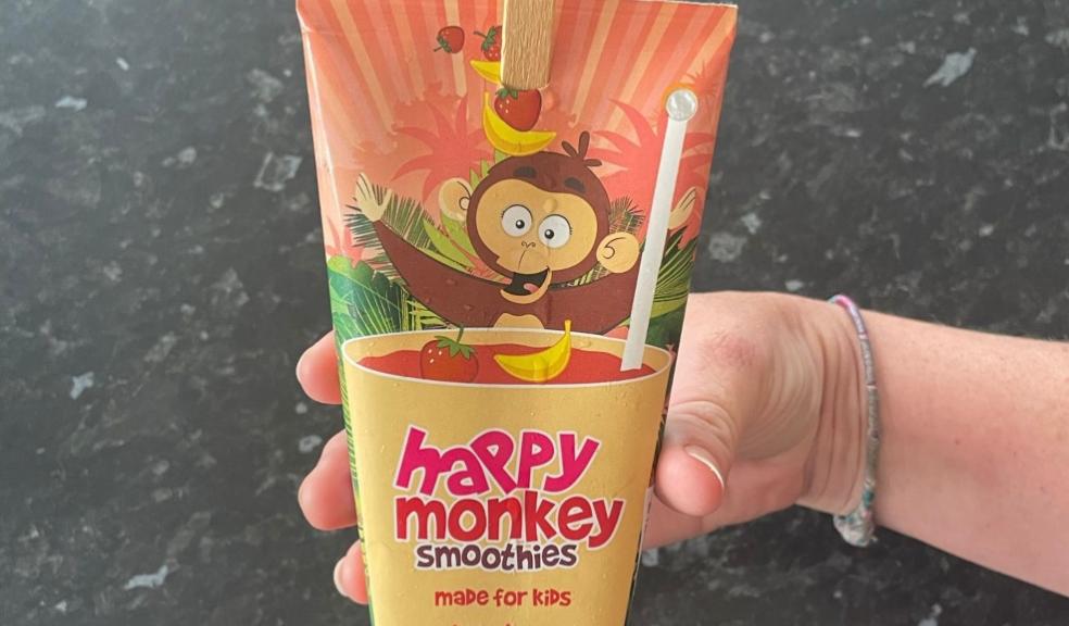 🍦 Turn your smoothie into an ice lolly 🍦 | The Parenting Daily