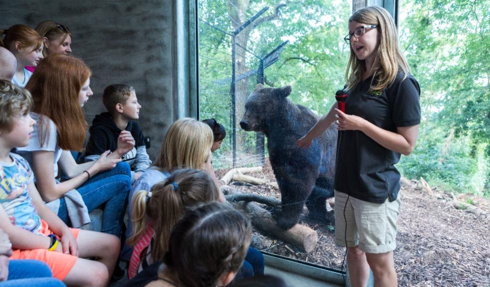 Get set for half-term at Wild Place Project | The Parenting Daily