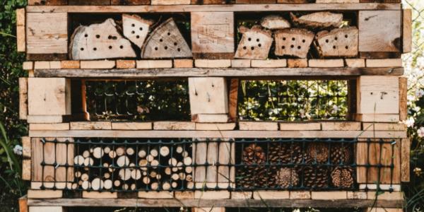 How to build a bug mansion | The Parenting Daily