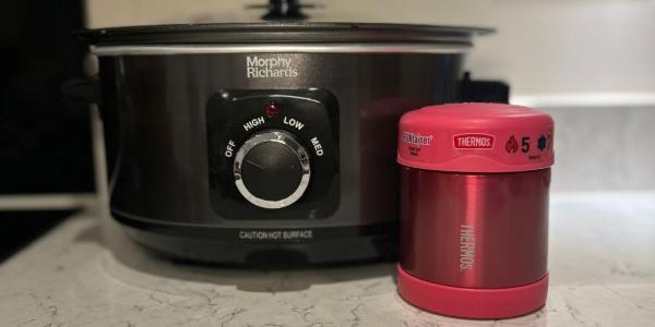 9 Easy Meal Ideas for Thermos Flasks: Perfect for Busy School Nights ...