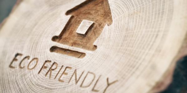 How to Deal with Eco-Guilt | The Parenting Daily