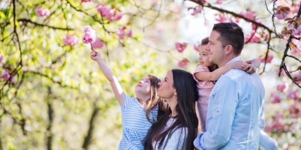 Spring into Wellness: A Mum's Guide to Embracing the Seasonal Shift ...